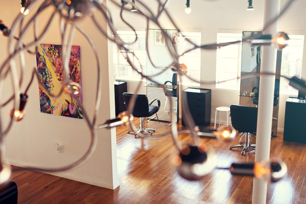 Cut Hairdressing - Takara Belmont USA